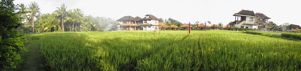 Bali : 6 activités incontournables à faire à Ubud